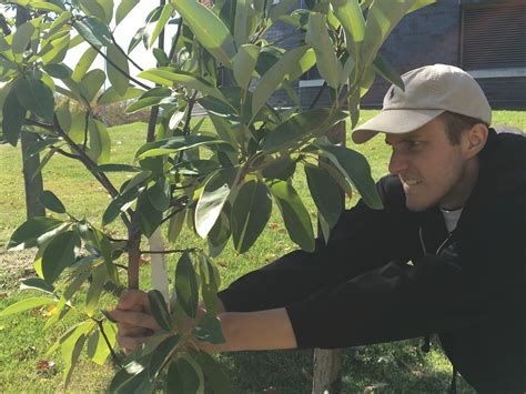 6 Beautiful Healthy Trees That Better Change Color Soon Or I M Gonna Fucking Snap