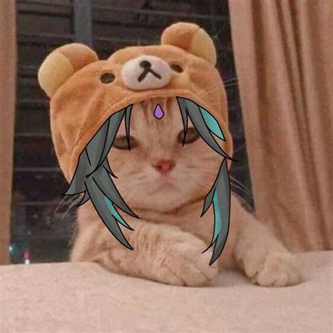 Xiao Cat Ilustrasi Karakter Gambar Karakter Chibi