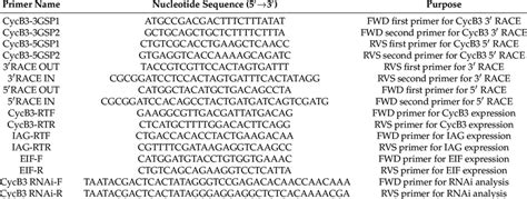 Universal And Specific Primers Used For Pcr Amplification And Qpcr Download Scientific Diagram