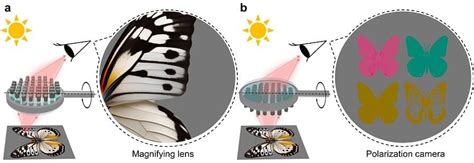 Janus Like Metasurface Technology Shows Different Optical Responses