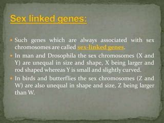 Sex Linked Inheritance PPTX