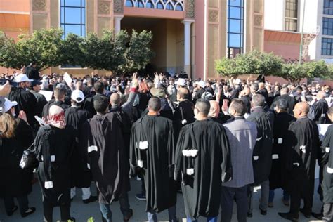 مهنة جديدة تفجر غضب المحامين ضد وزير العدل تليكسبريس