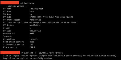 Extend Virtual Disk On Linux PappZ
