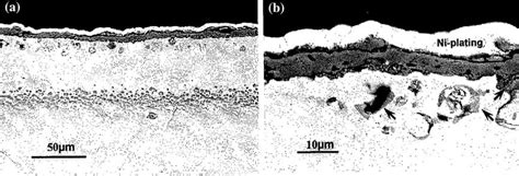Cross Sectional Sem Micrograph Of Chromium Coating On The Untreated Download Scientific Diagram