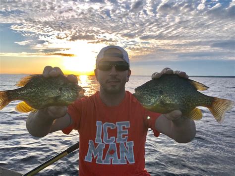 E23 Fa25 B 9 Aad 446 E 995 C 3 B8 E48 Aaa87 C — Postimages