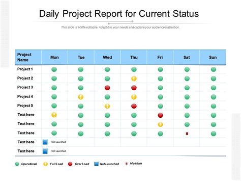 Daily Project Report For Current Status Presentation Graphics Presentation PowerPoint