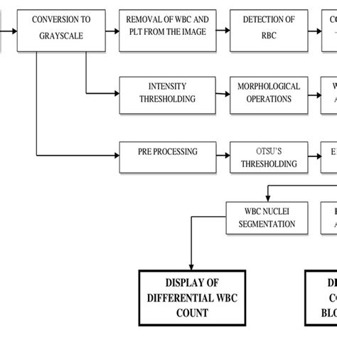 Block Diagram Of Proposed Methods Download Scientific Diagram