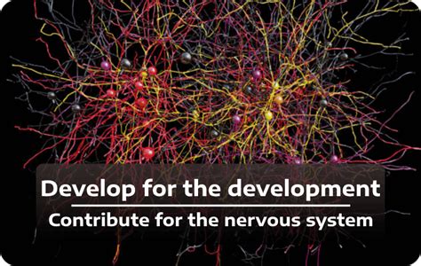 GitHub Realamirhe Awesome Computational Neuro Science A Curated List Of Awesome Cns