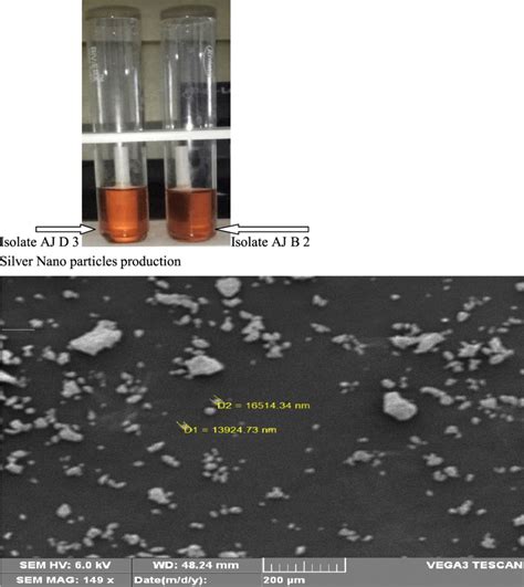 Electron Micrograph Of Silver Nanoparticles Download Scientific Diagram