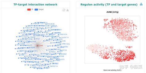 单细胞多组学联合分析转录因子？百搭的宝藏数据库推荐给你！ 知乎