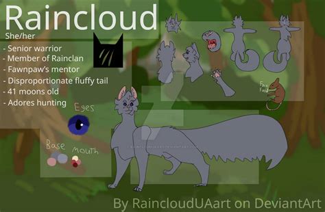 Raincloud Reference Sheet Remake By Rainclouduaart On Deviantart