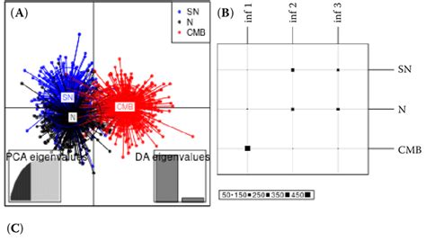 Genetic Clusters Determined Using Discriminant Analysis Of Principal Download Scientific