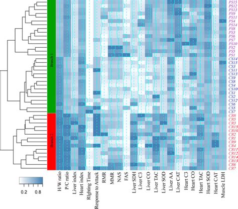Heatmap Showing Clustering Results Of All Individuals Based On All Download Scientific Diagram