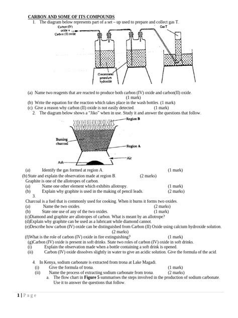 Carbon And Nitrogen Holiday Assignment Pdf