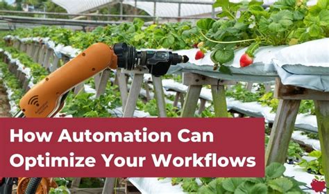 Automation Workflowoptimization Productivityboost Dnelle Dowis Uxc
