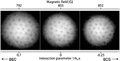 Experimental Observation Of Quantized Vortices In A Superfluid Fermi