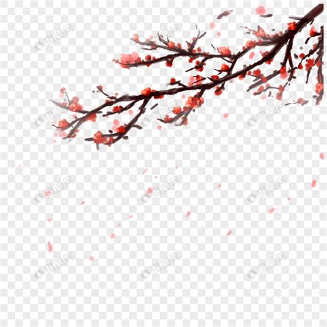 梅花枝元素素材下载 正版素材401203241 摄图网