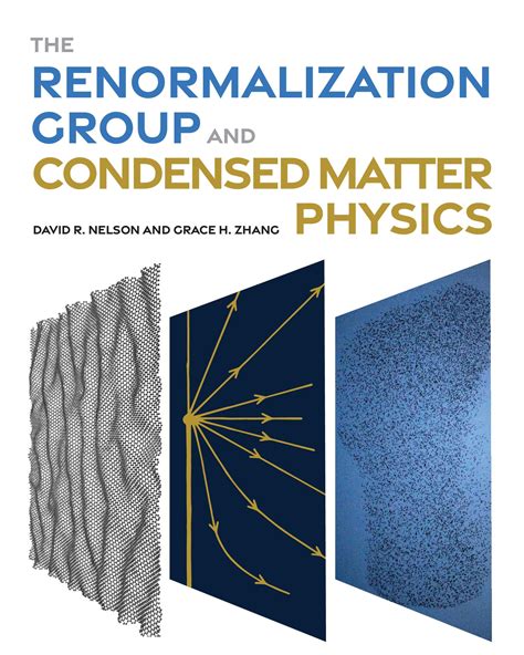 The Renormalization Group And Condensed Matter Physics Princeton University Press