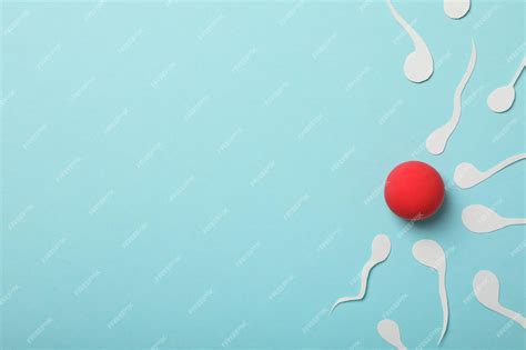 Premium Photo Fertilization Concept Ovulation Period Sperm And Egg