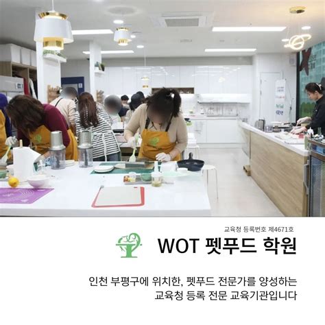 Wot펫푸드학원 호피야~ 엄마도 요즘 유행하는 블라인드시식테스트 해보고싶었어🤭 시츄는사랑입니다 시츄스타그램 시츄 Instagram