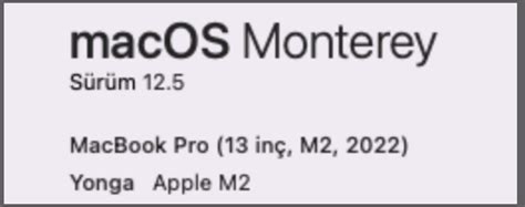 Apple M2 Support Bug Reports Discuss The Visual Paradigm