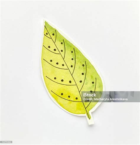하나의 가을 잎 수채화와 컷 페이퍼 스크랩북 아트 오브젝트 흰색 배경에 낙서 0명에 대한 스톡 사진 및 기타 이미지 0명 10월 가을 Istock