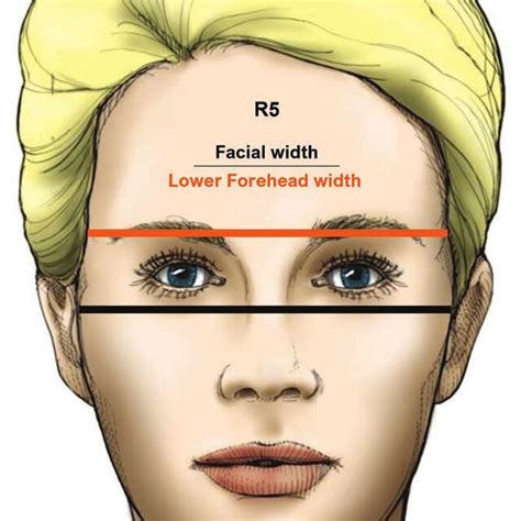 The Ratio Of Facial Width To Lower Forehead Width R5 104 In Men And Download Scientific