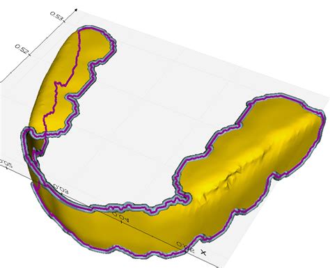Cut A Mesh By The Distance From Its Boundaries · Issue 351 · Marcomusy