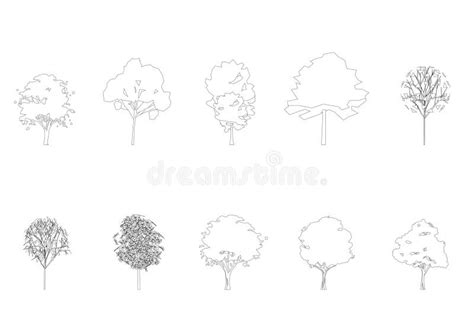 Tree Line Drawing Side View Graphics Trees Elements Single Object