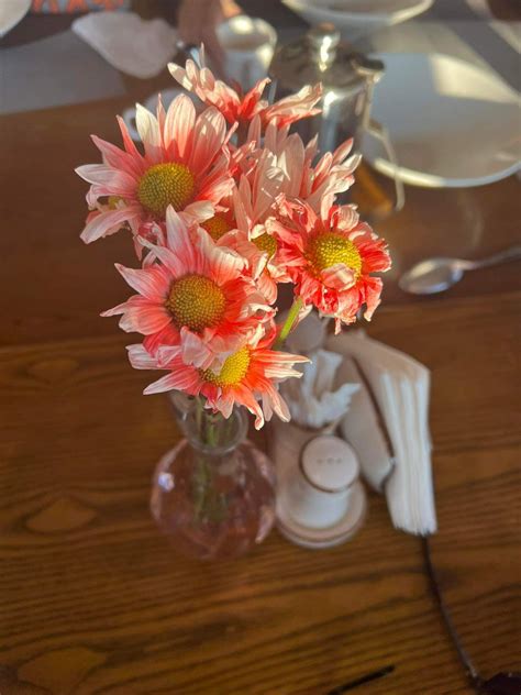 Mooloo On Twitter Rt Tvwshinjargalt Өглөөний мэнд Жиргээ