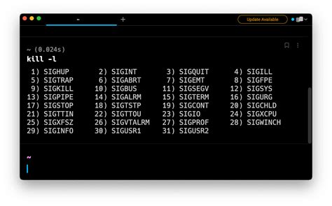 The Linuxunix Kill Command Identifying And Killing Proces Warp