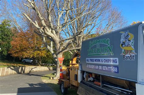 Goldstone Treeworx Local Arborists For Expert Tree Services