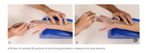 Lab Practical ROM And MMT Flashcards Quizlet