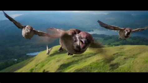 კურდღელი პიტერი ქართულად Youtube