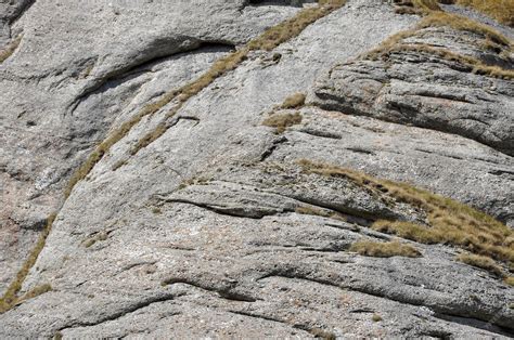 Premium Photo Conglomerate Rocks Sedimentary Rock Pattern