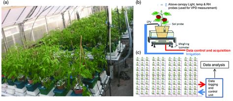 The Lysimeter System A Top View Of The Greenhouse Array Consisting