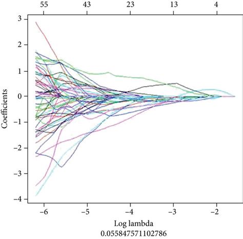 Radiomic Feature Selection Using The Lasso Logistic Regression Model