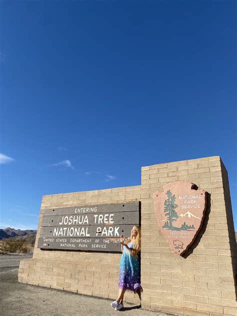 La 근교 국립공원 조슈아 트리 Landing Help 캘리포니아 로스엔젤레스 지역