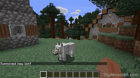 How To Summon A Wolf In Minecraft