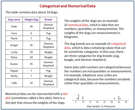 Categorical Variable To Numeric In R Printable Online