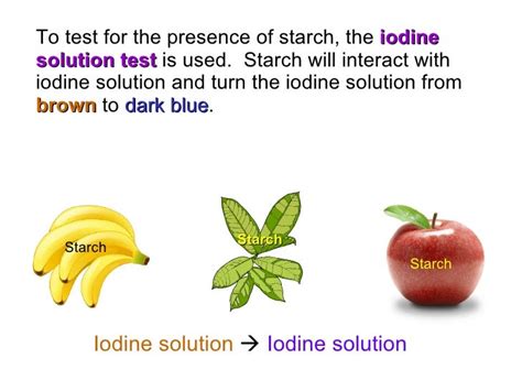 What Is Starch