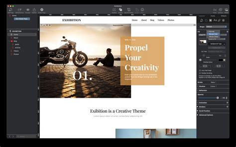 Getting The Most From Your Mouse And Everwebs Shape Option Feature
