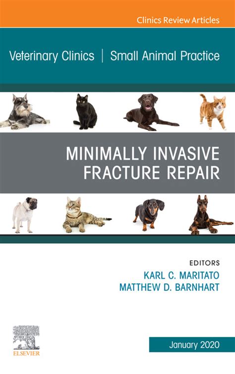 Minimally Invasive Fracture Repair An Issue Of Veterinary Clinics Of North America Small