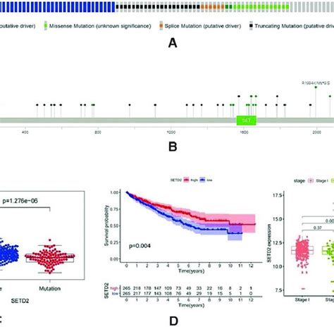 Mutation Analysis A Rate 21 And Types Of Mutations And B Sites Download Scientific