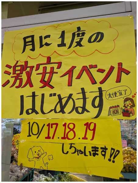 たこ一の店舗一覧 チラシガイド