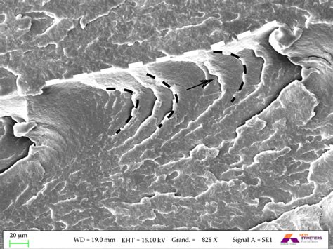 Observation By Electron Microscopy Of The Microcracks In The