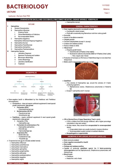 Gram Negative Bacilli And Coccobacilli Mac Conkey Negative Oxidase Variable Haemophilus
