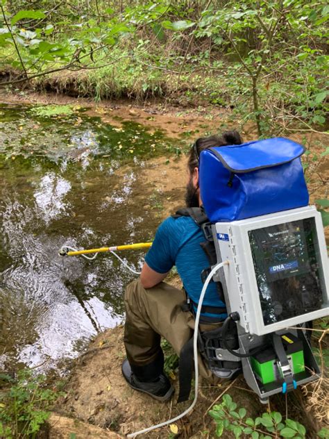 Njdep Invasive Species Home