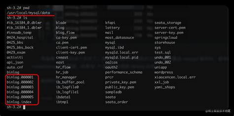 一不小心把表 drop 了咋办 MySQL 数据恢复浅谈 MySQL 数据恢复与备份binlog 的配置恢复形式 掘金