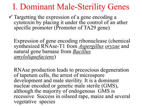 Transgenic Male Sterility Pptx